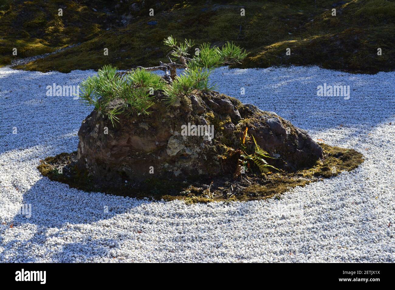A huge isolated rock surrounded by white ground stones Stock Photo - Alamy