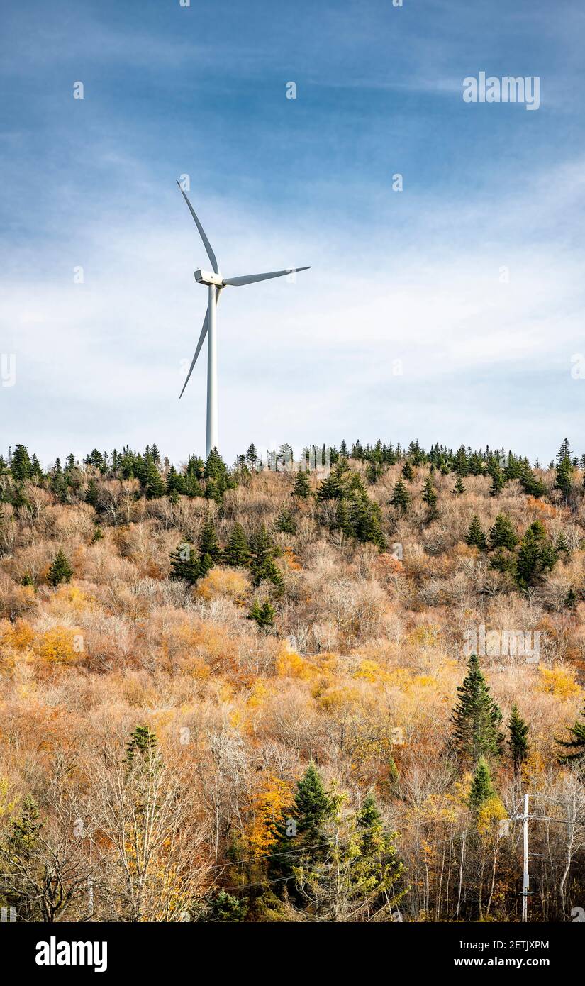 Landscaping with wind generators to transform wind energy into ...