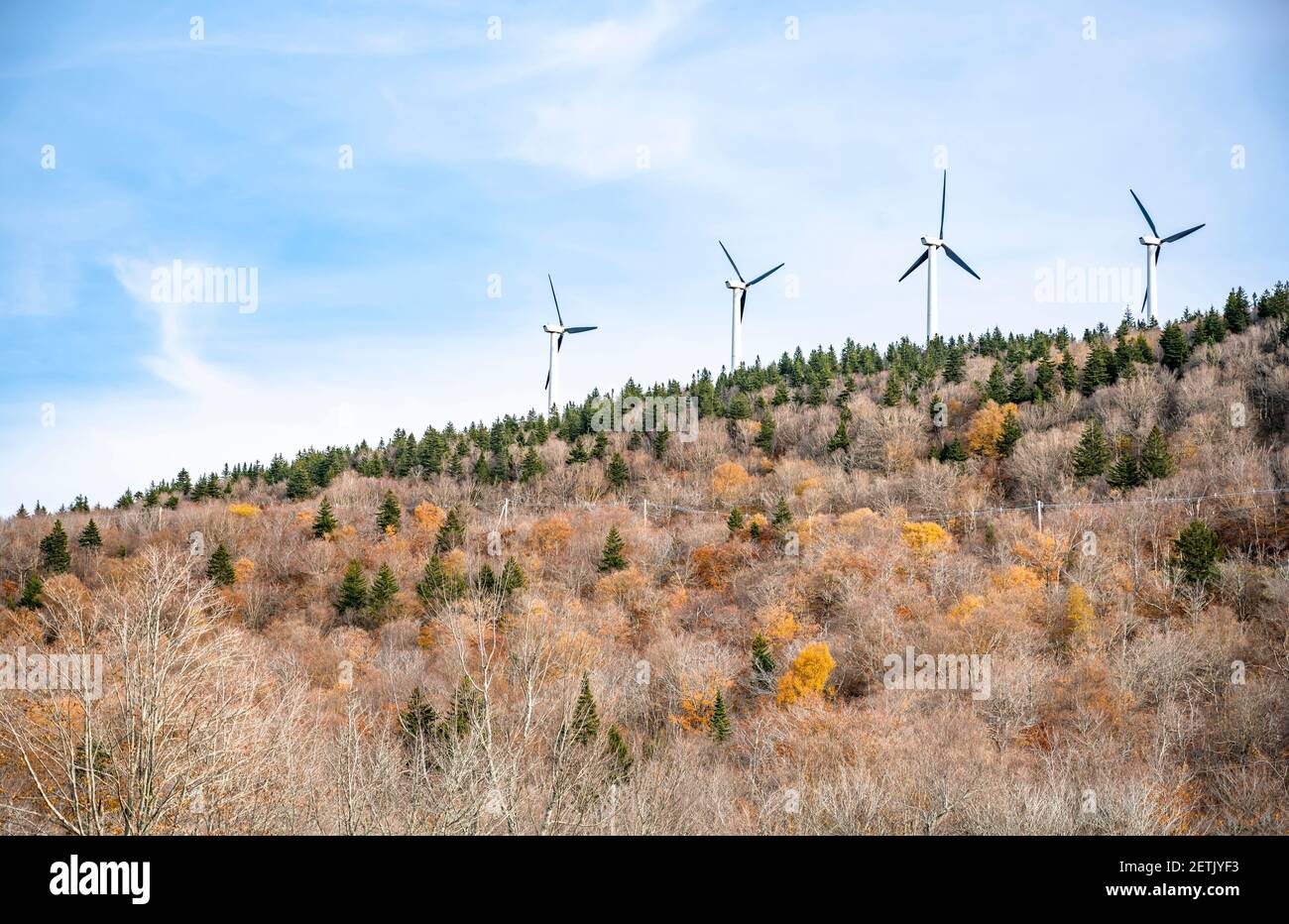 Landscaping with wind generators to transform wind energy into ...