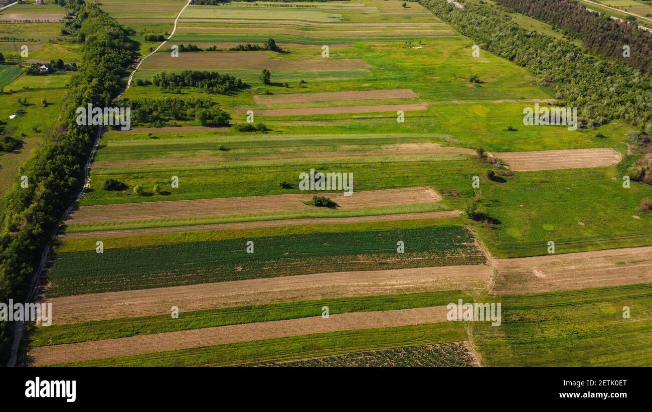 An aerial view of an agricultural cultivated sown field in the ...