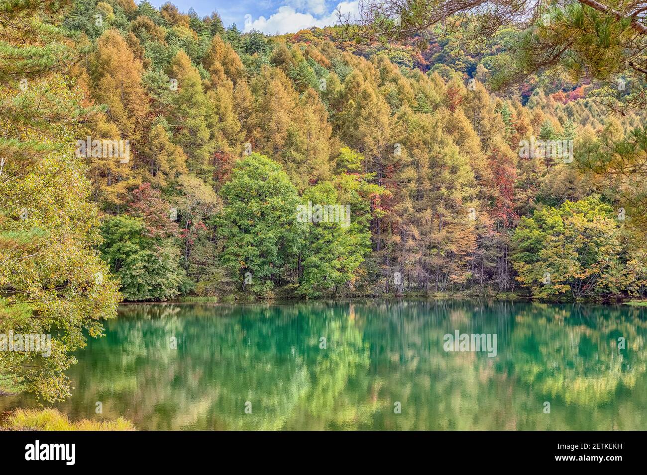 Chino nagano hi-res stock photography and images - Alamy