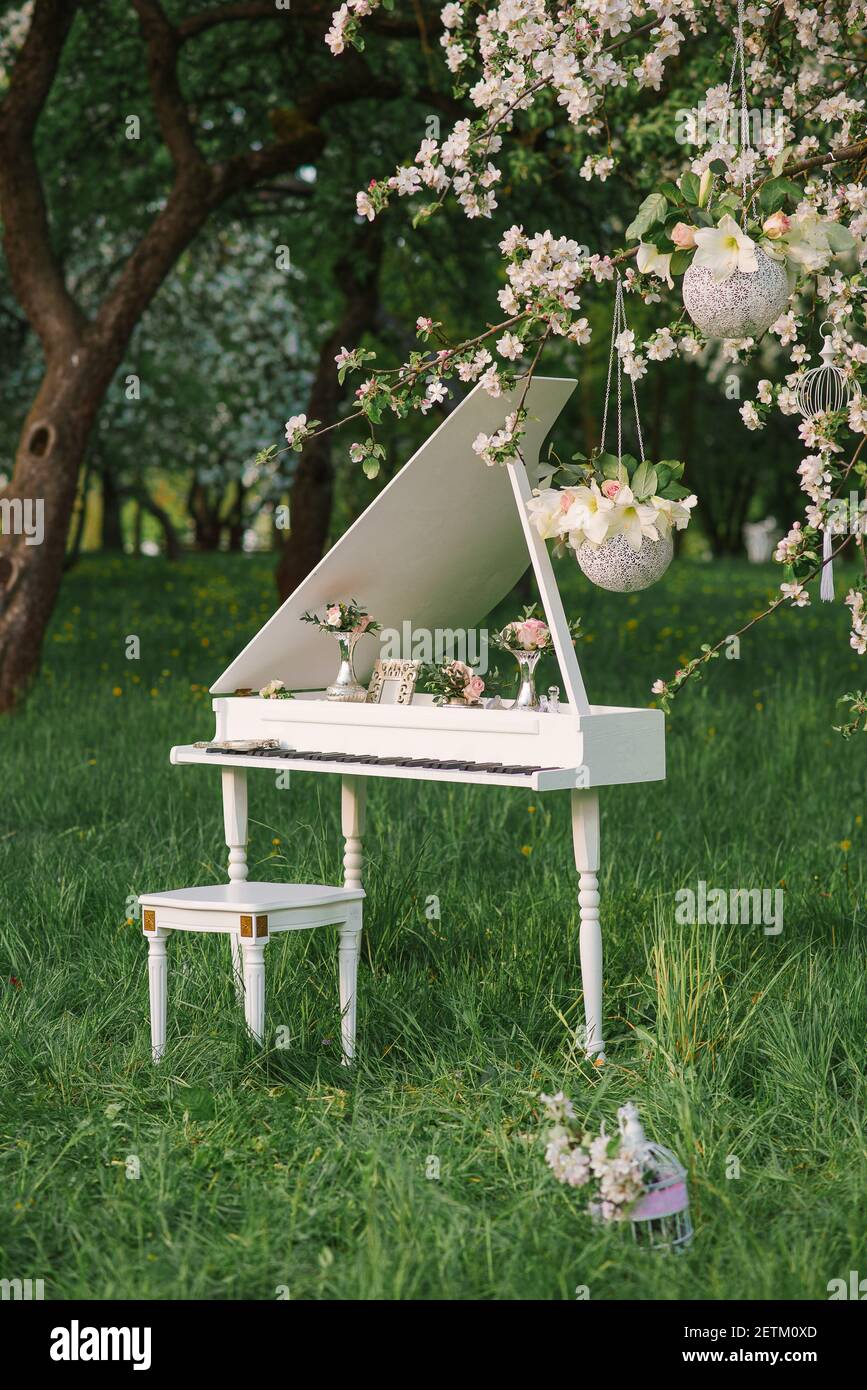 amazing baby backdrop Stock Photo - Alamy