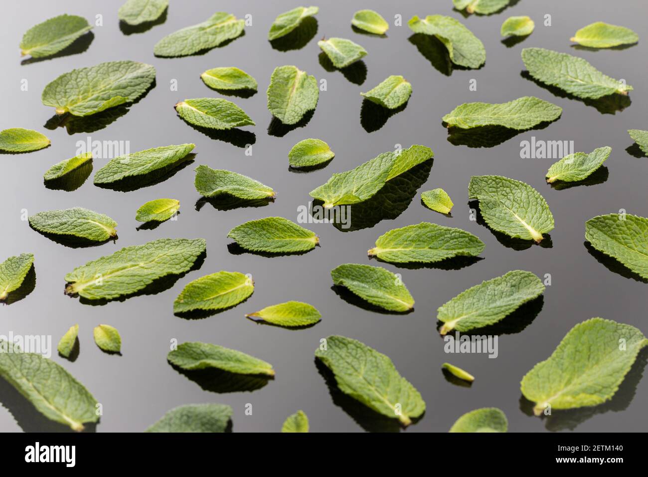 The green mint leaves on a reflective surface Stock Photo - Alamy