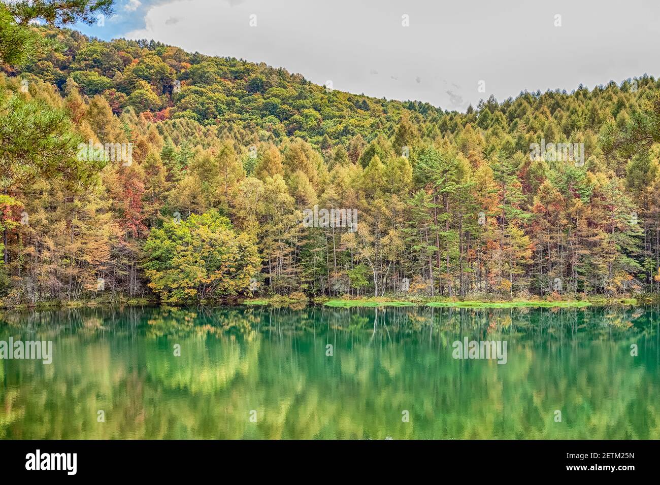 Chino nagano hi-res stock photography and images - Alamy