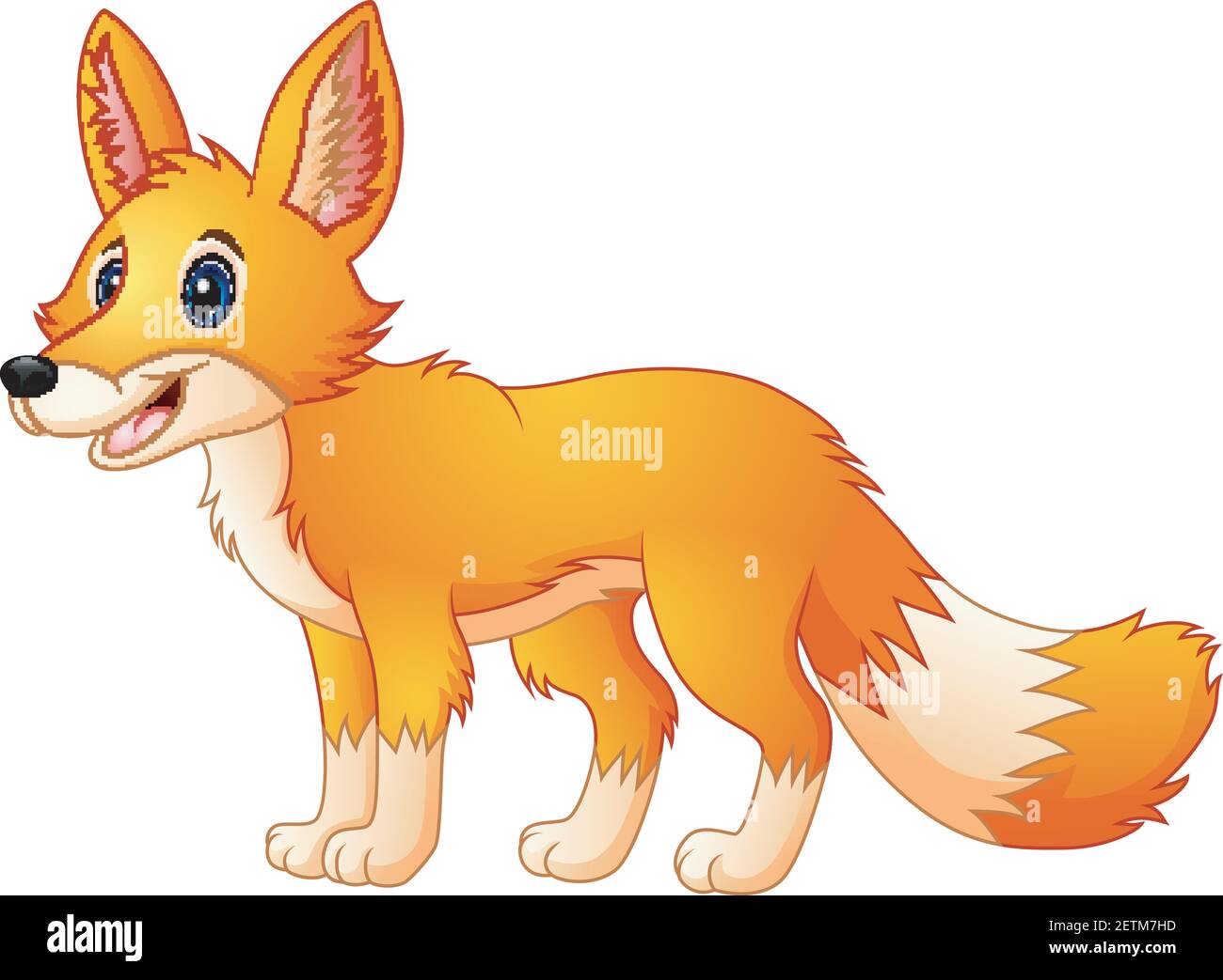 Vector illustration of Cute fox cartoon Stock Vector Image & Art - Alamy