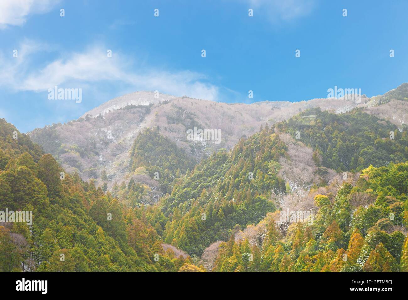 Winter background countryside with snow in Arashiyama district Kyoto ...