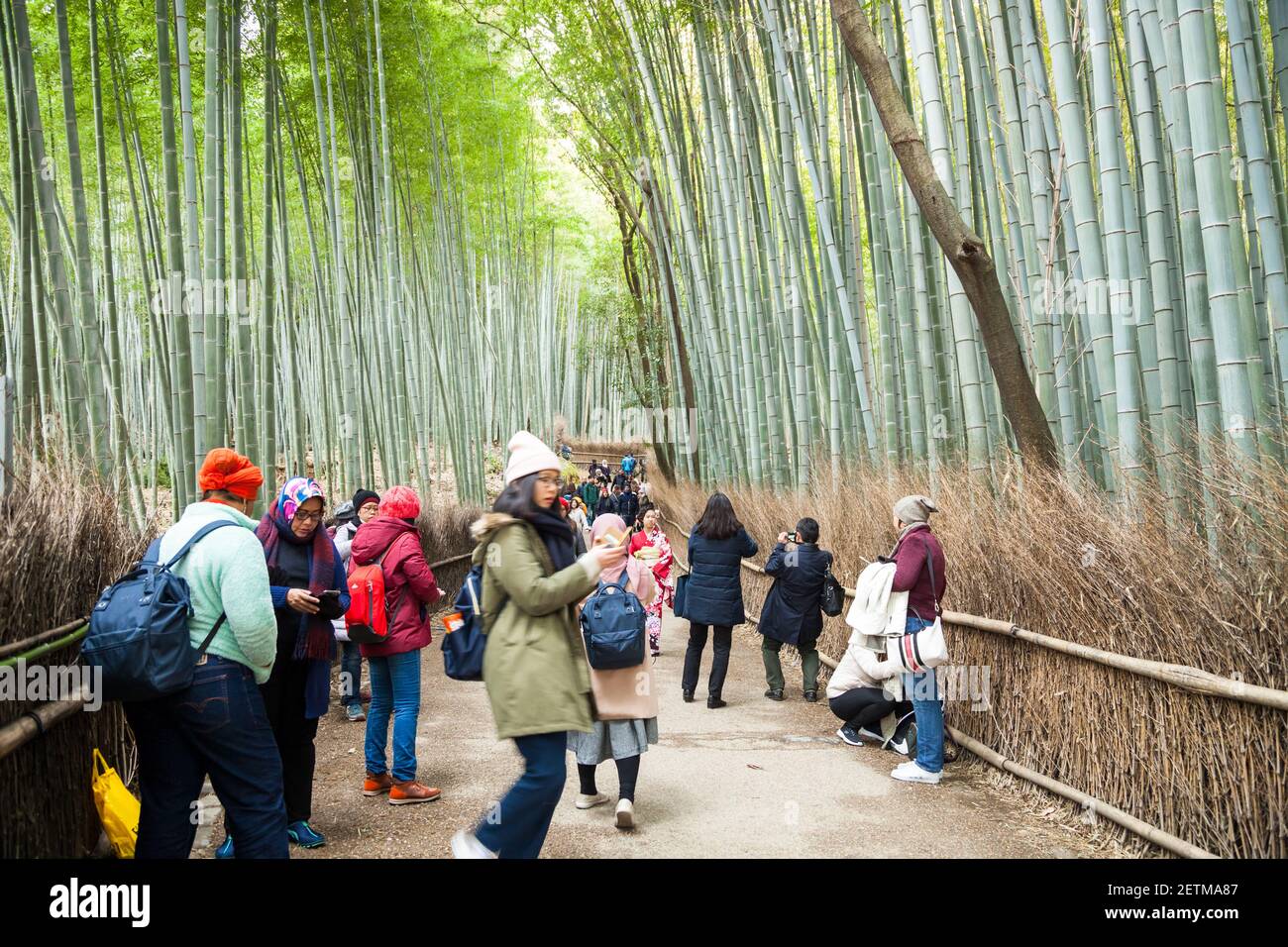 Kyoto, Japan - January 28, 2018: View of the People walking in bamboo ...