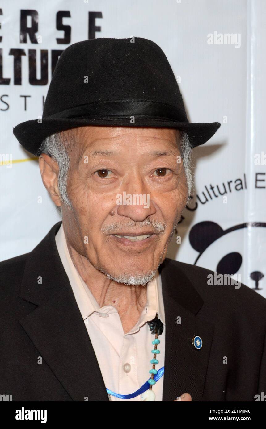 Aki Aleong at the Universe Multicultural Film Festival Red Carpet ...