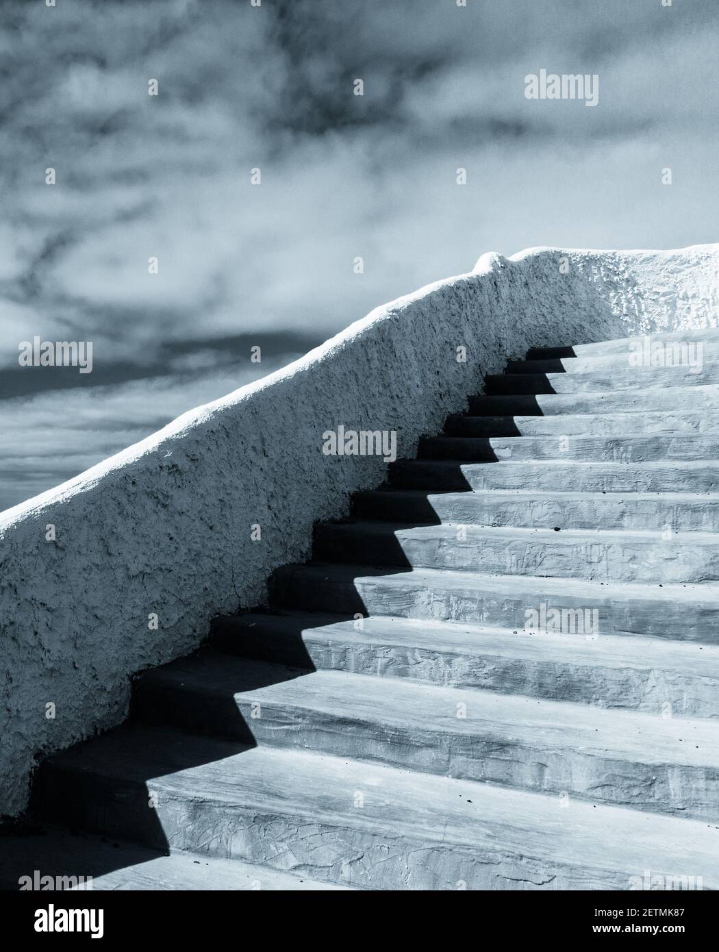 Two dogs waiting for owner outside shop.gg Stock Photo - Alamy