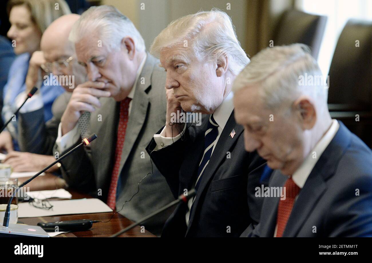 US President Donald Trump flanked by Secretary of State Rex Tillerson ...