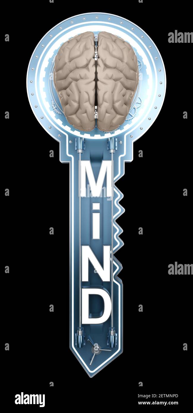 Brain 3d rendering hi-res stock photography and images - Alamy