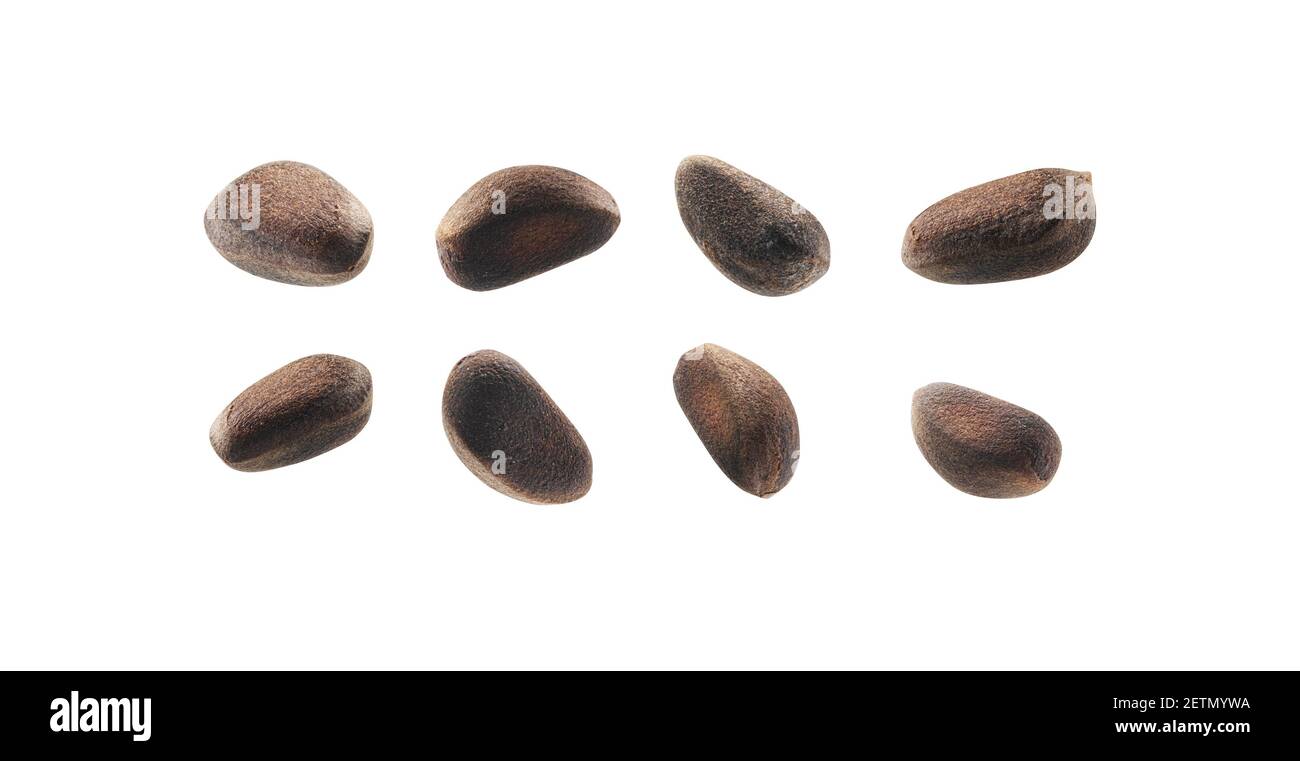 A set of pine nuts. Isolated on a white background Stock Photo - Alamy