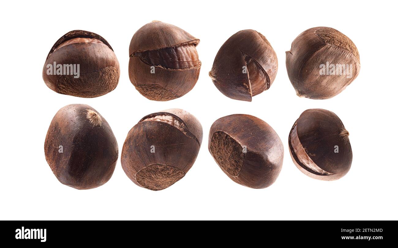 A set of pine chestnuts. Isolated on a white background Stock Photo - Alamy