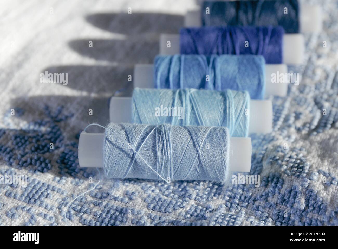 Set of sewing thread coils on white natural fabric with embroidery ...