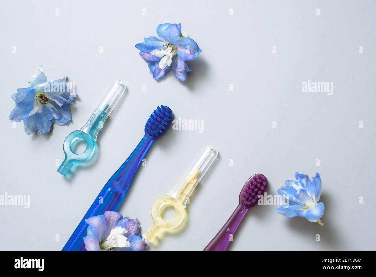 Items for cleaning teeth on a light gray background. Colored ...