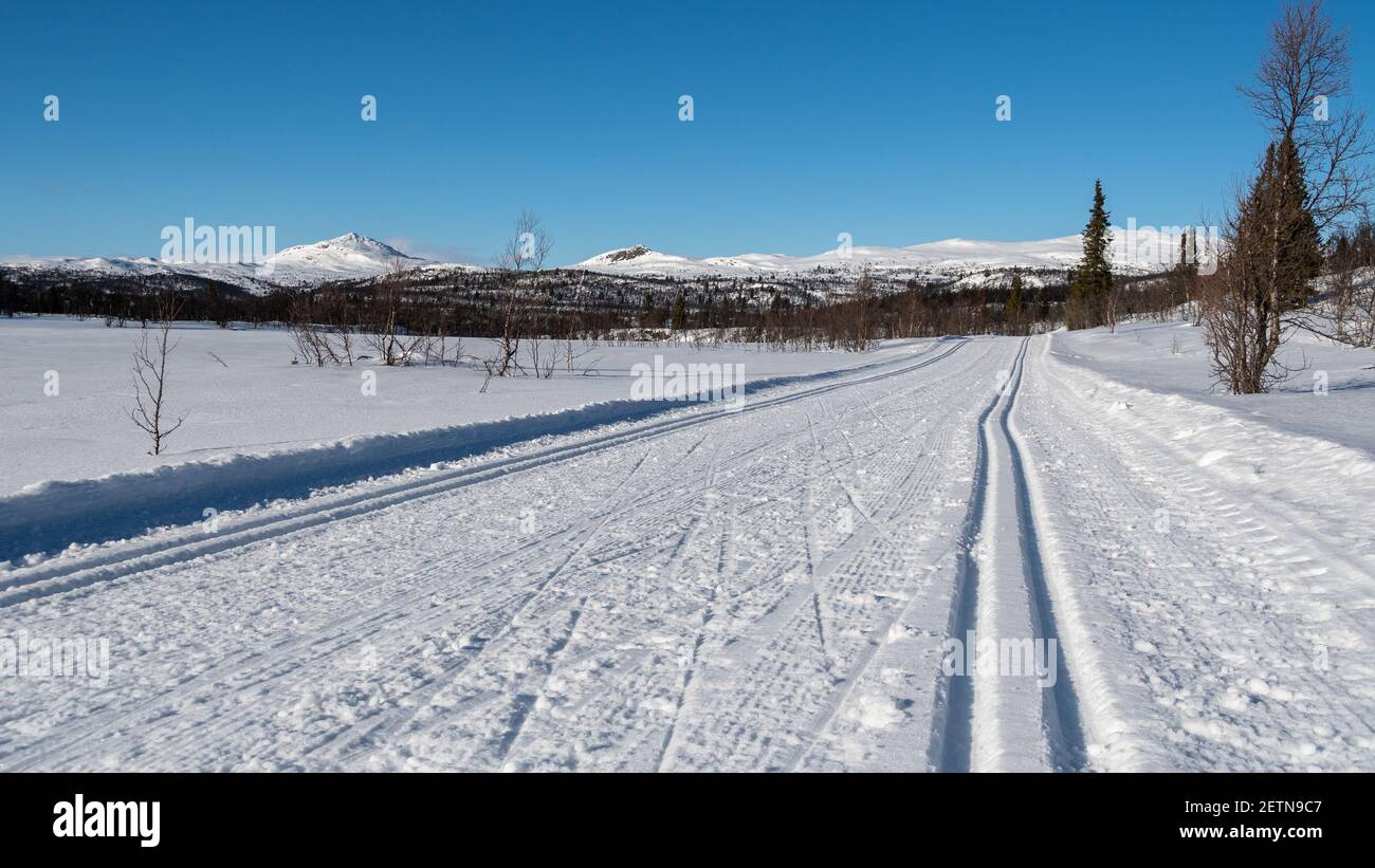 Winter wonderland ski trip in the mountains with negative space Stock ...