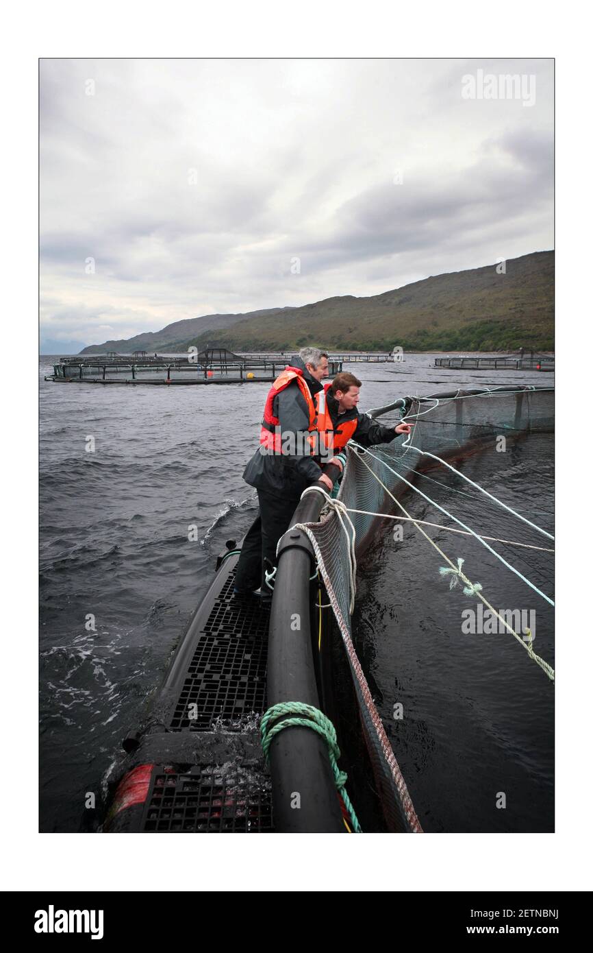 Salmon Farming on the West coast of Scotland.... Lochmuir.Marks and ...
