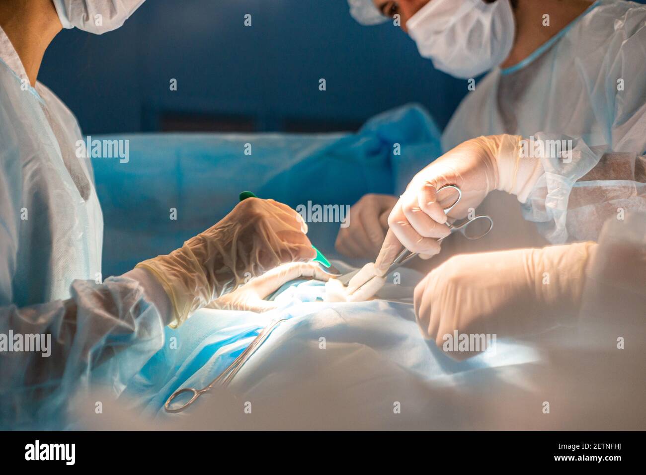Close-ups of doctor's hands in medical gloves during surgery Stock ...