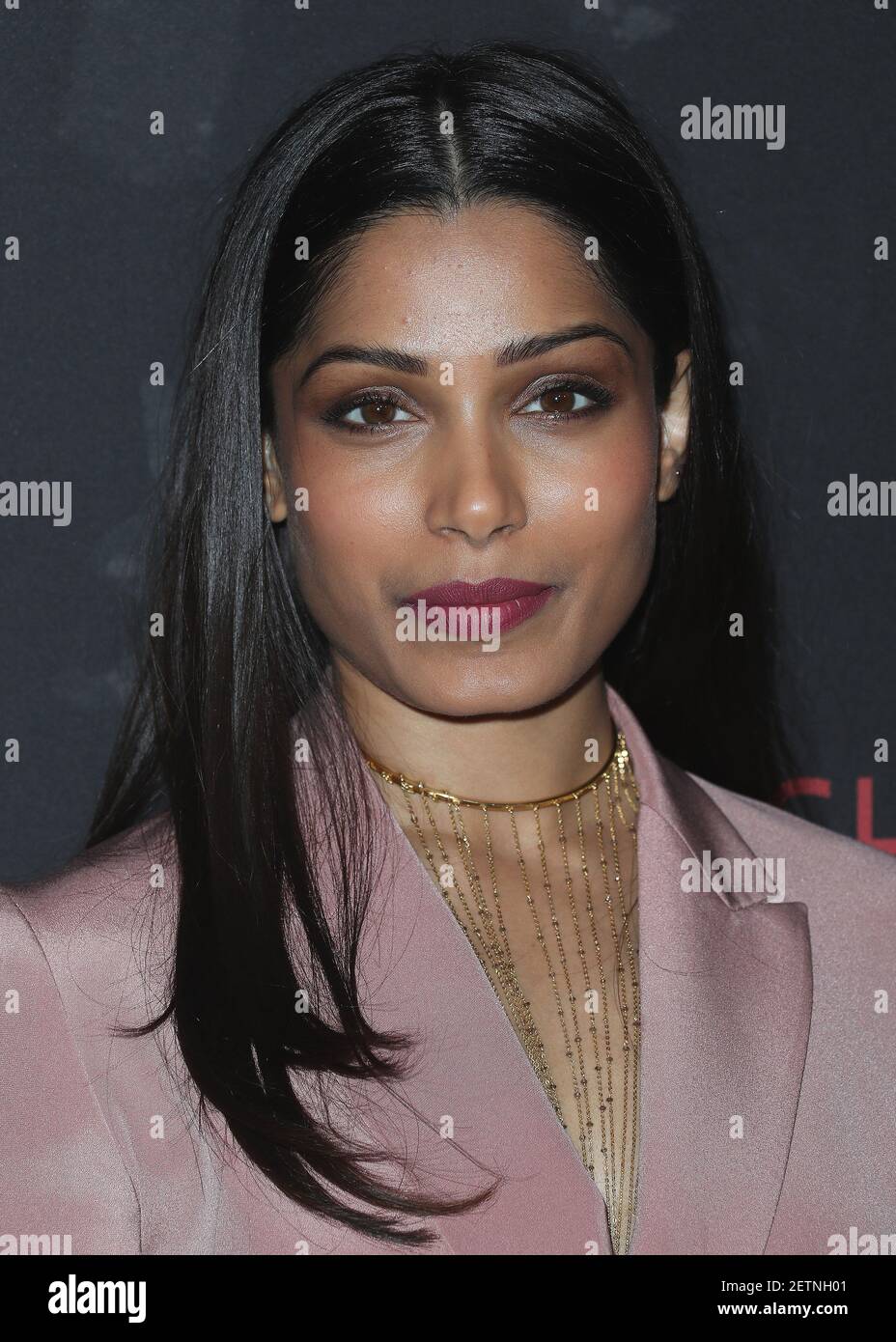 BEVERLY HILLS, CA - APRIL 13: Freida Pinto at Showtime's "Guerrilla ...