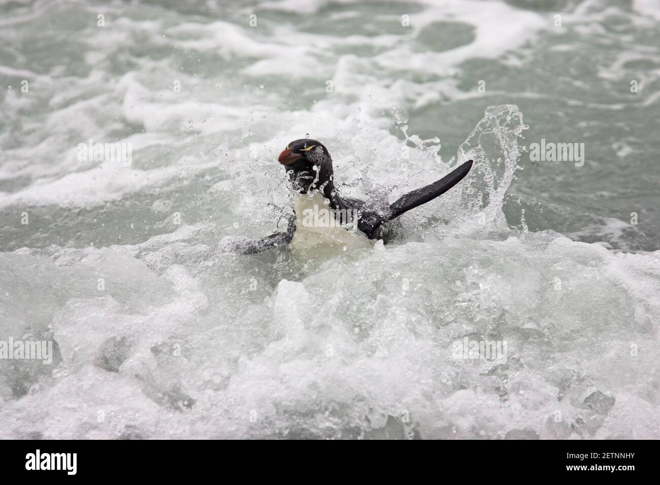 Pounding Wave High Resolution Stock Photography and Images - Alamy