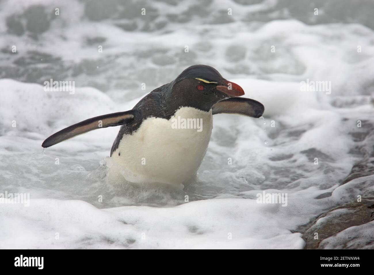 Pounding Wave High Resolution Stock Photography and Images - Alamy
