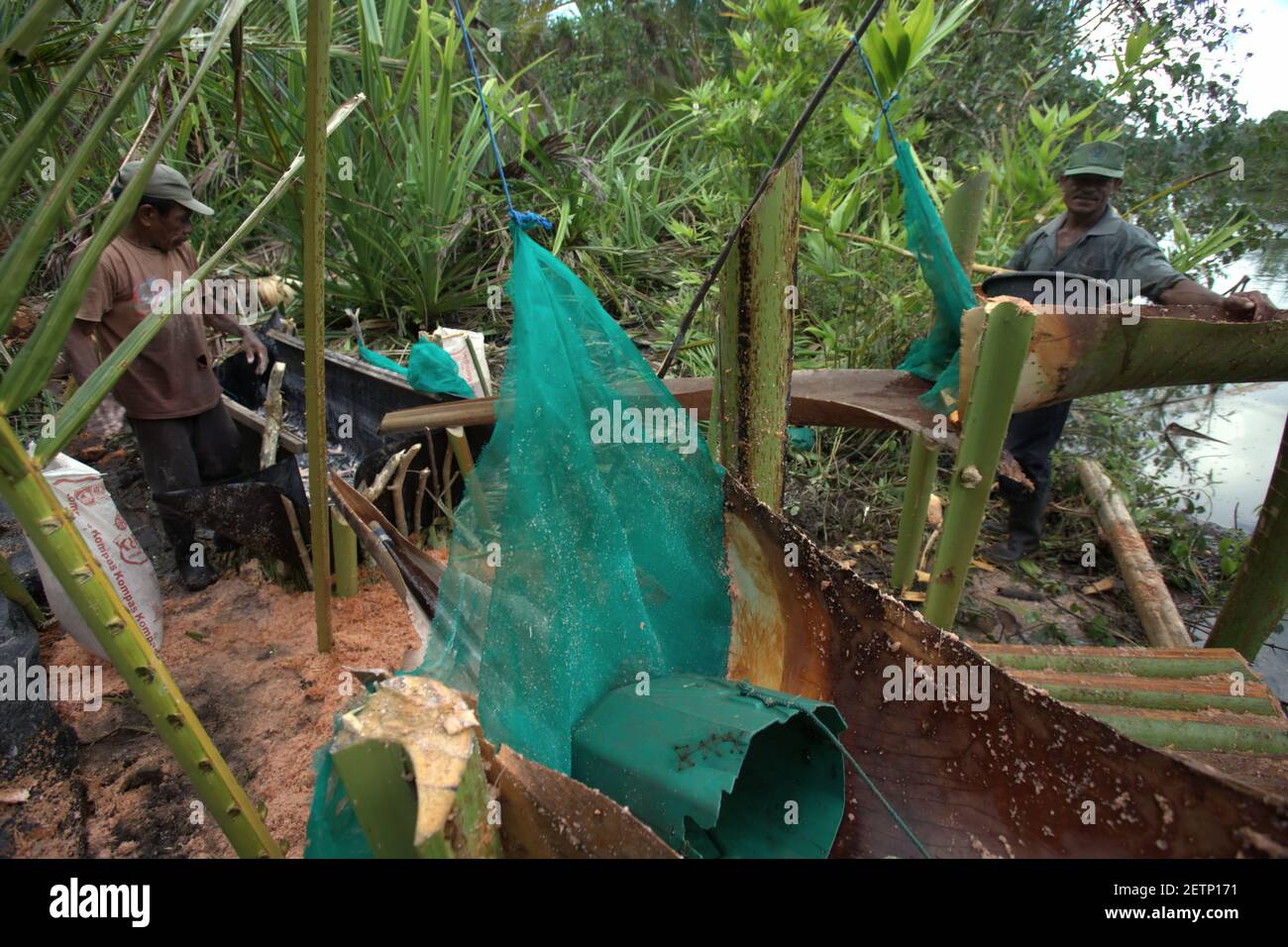 Installation for sago production on the side of Salawai river in Seram ...
