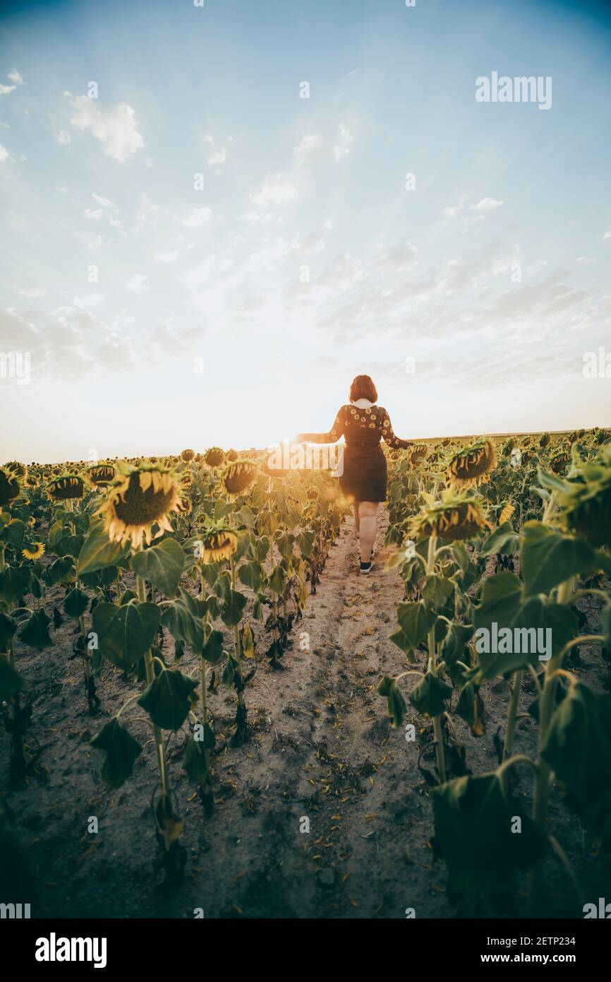 A beautiful young girl with her back turned walks through a field of ...