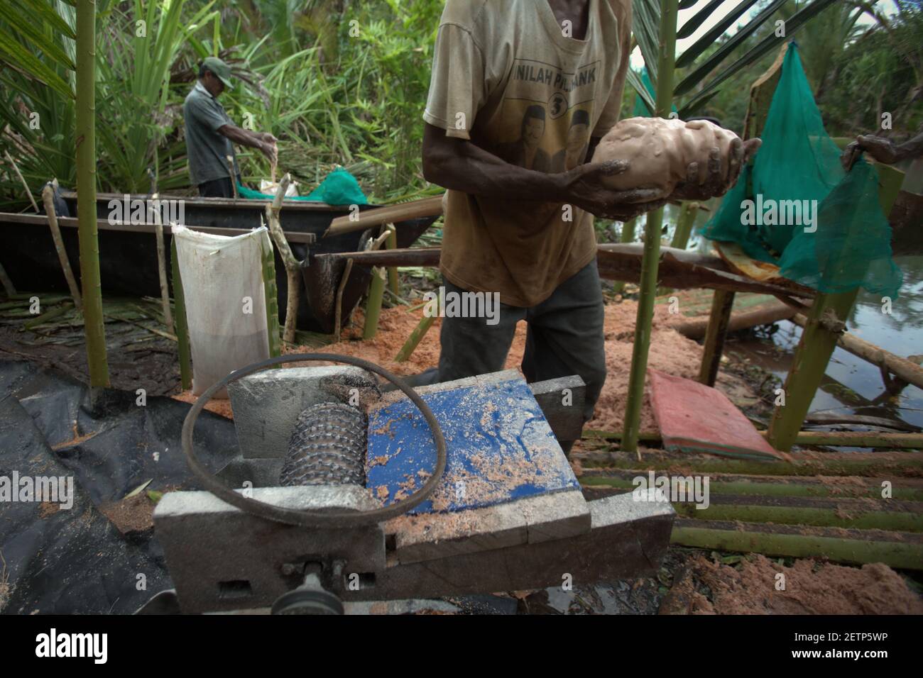 Men making sago on the side of Salawai river in Seram Island, Maluku ...