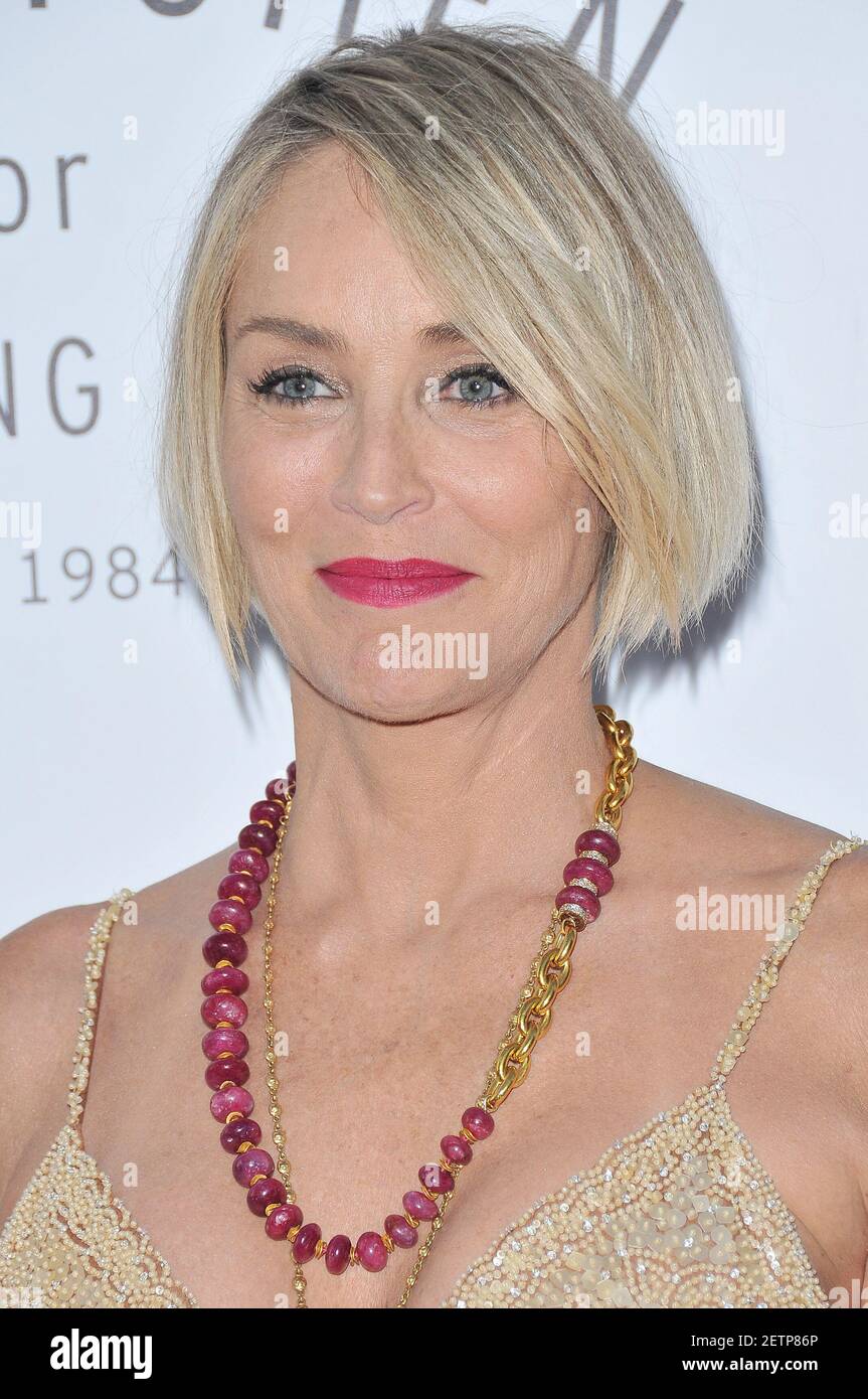Sharon Stone arrives at Lupus LA's 2017 Orange Ball: Rocket To A Cure ...