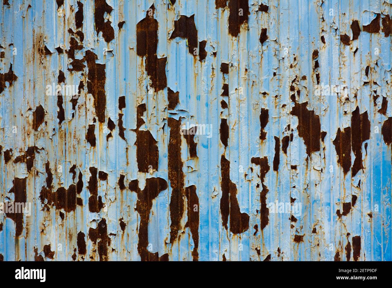 Old metal door painted blue and broken and rusty areas. Image for ...