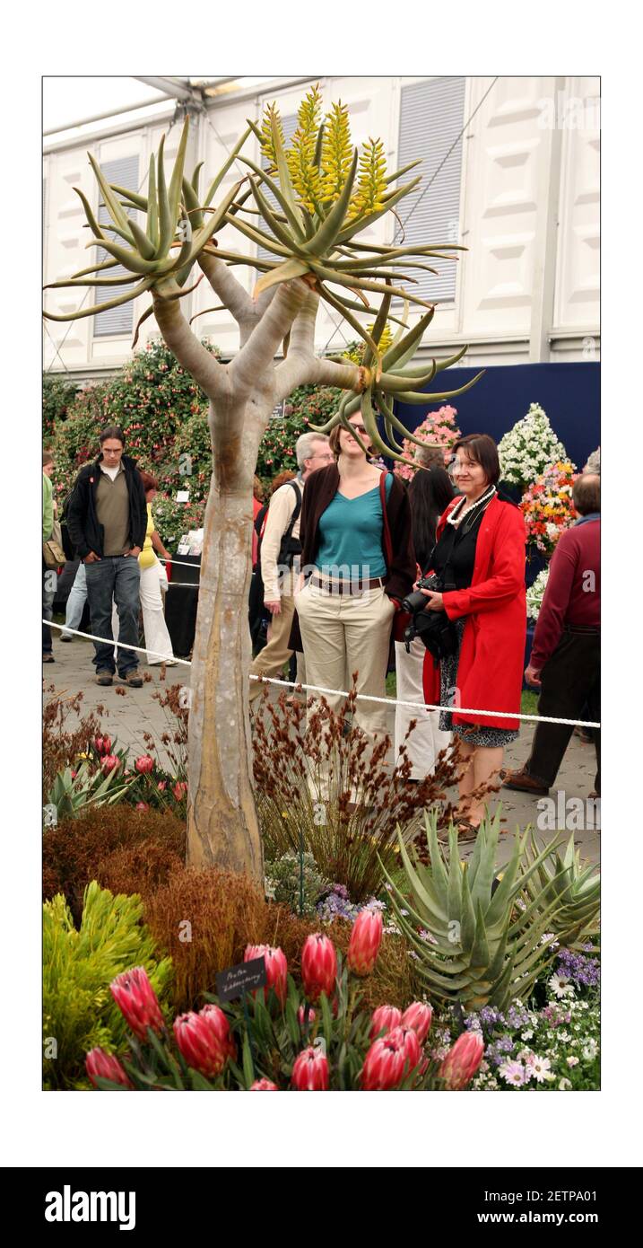 The public enjoy another fine weather day and beautifull flowers at the ...