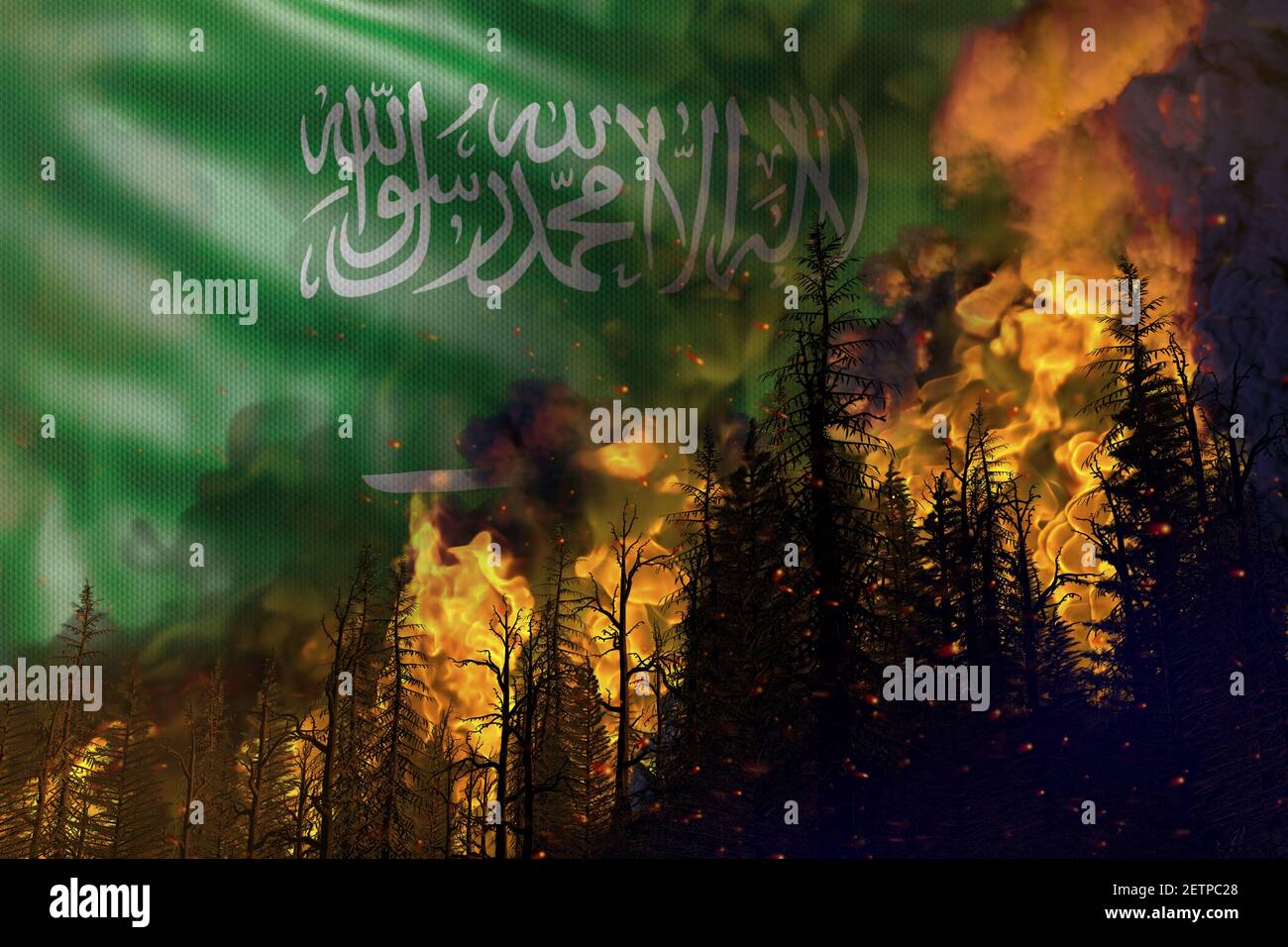 Forest fire fight concept, natural disaster - burning fire in the woods ...