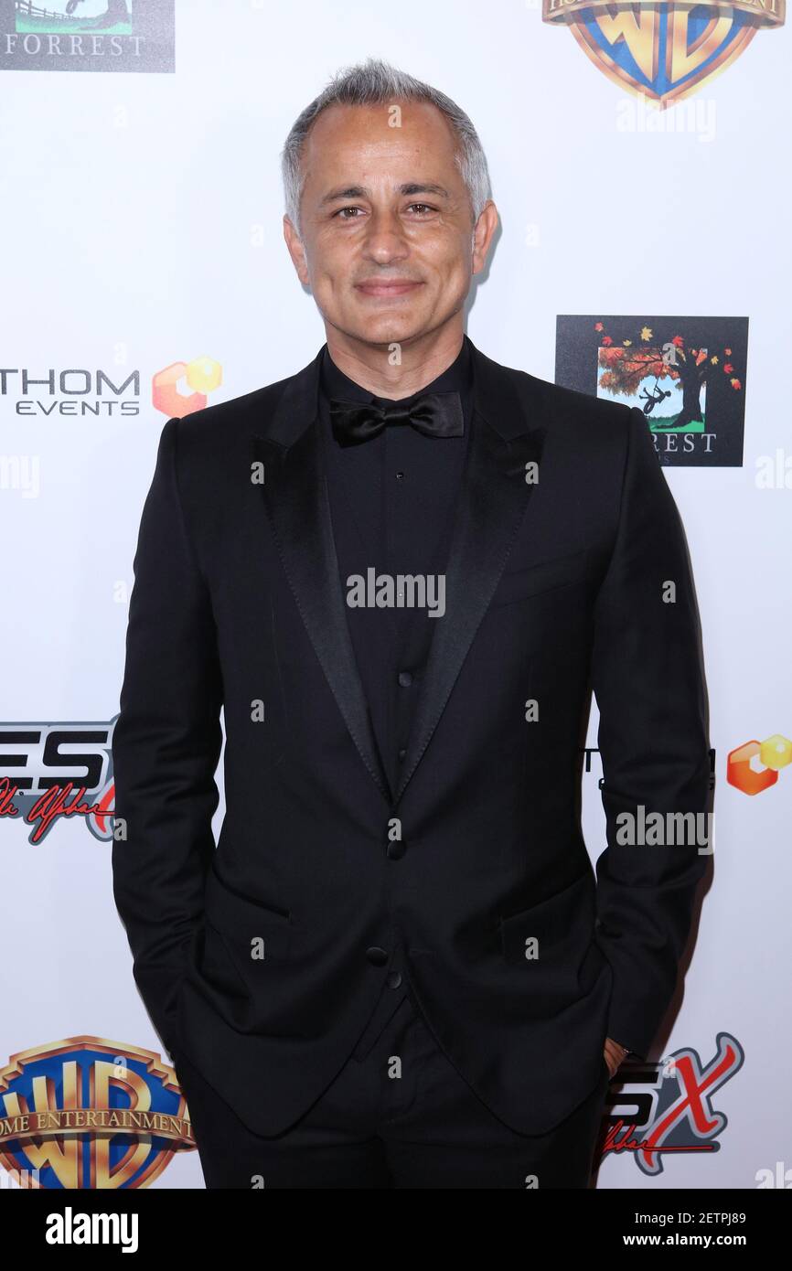 Ali Afshar at the Warner Bros. "American Wrestler: The Wizard" Los ...