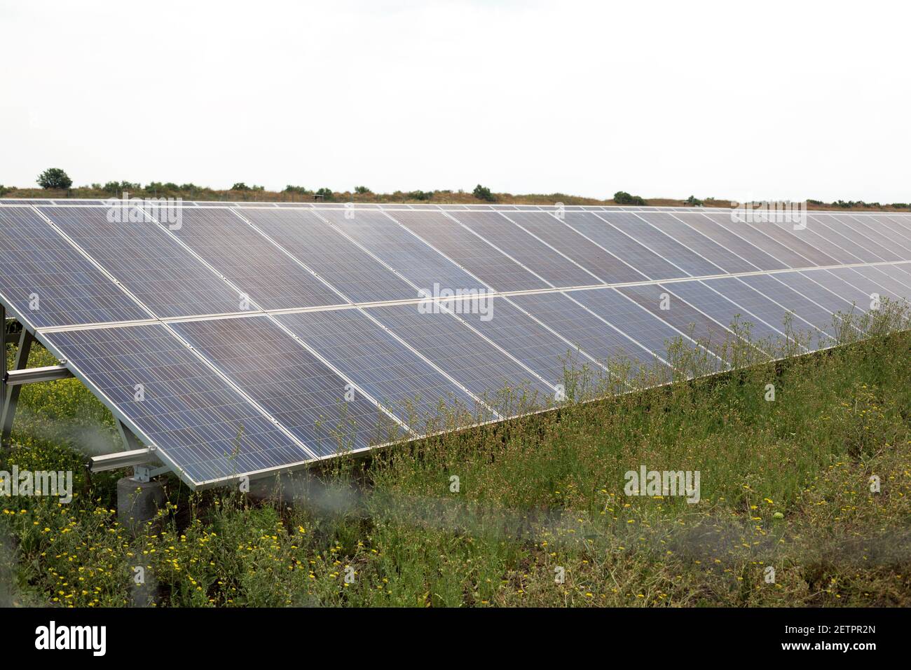 Solar panels on green grass field, close up Stock Photo - Alamy