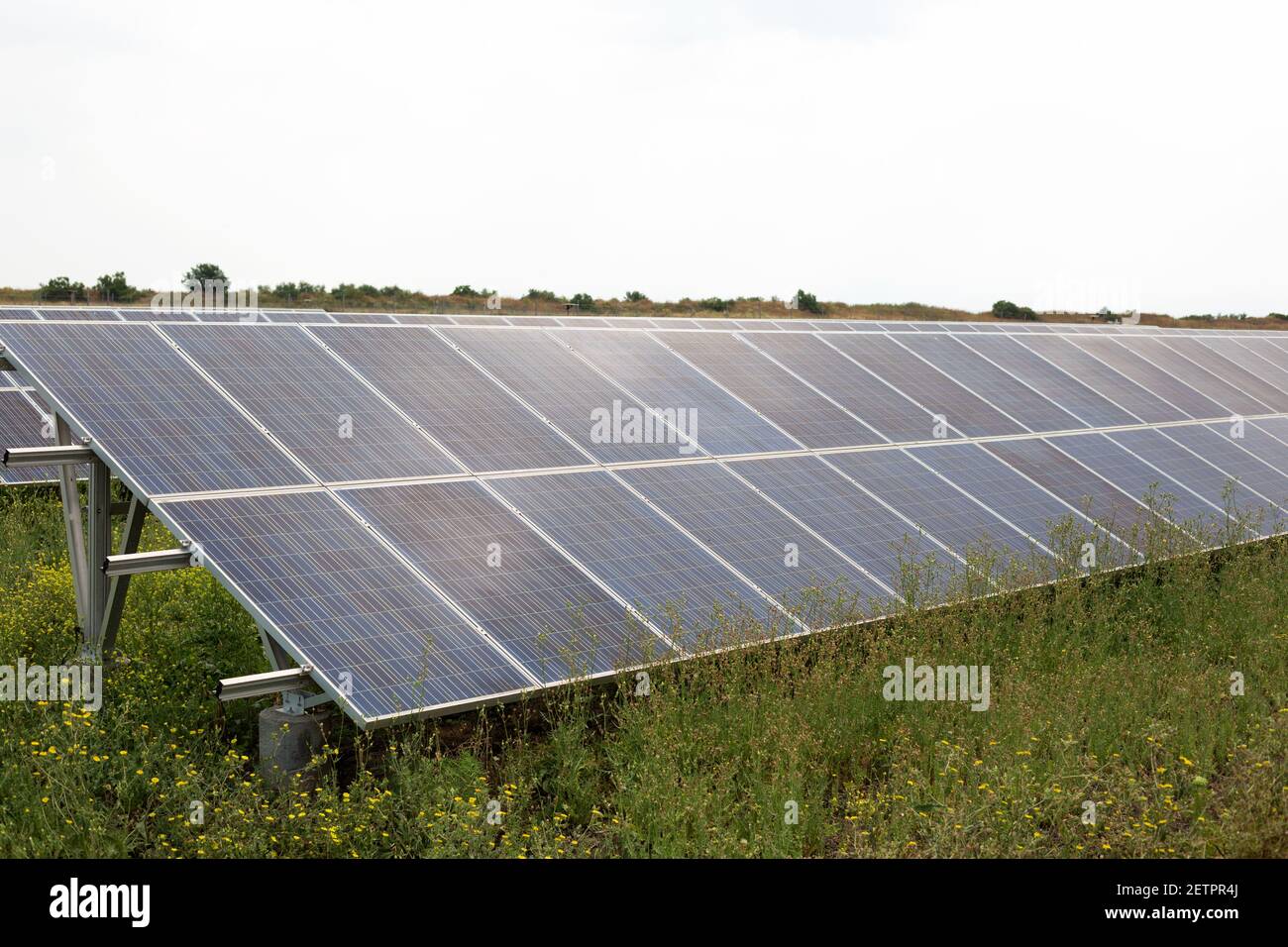 Solar panels on green grass field, close up Stock Photo - Alamy
