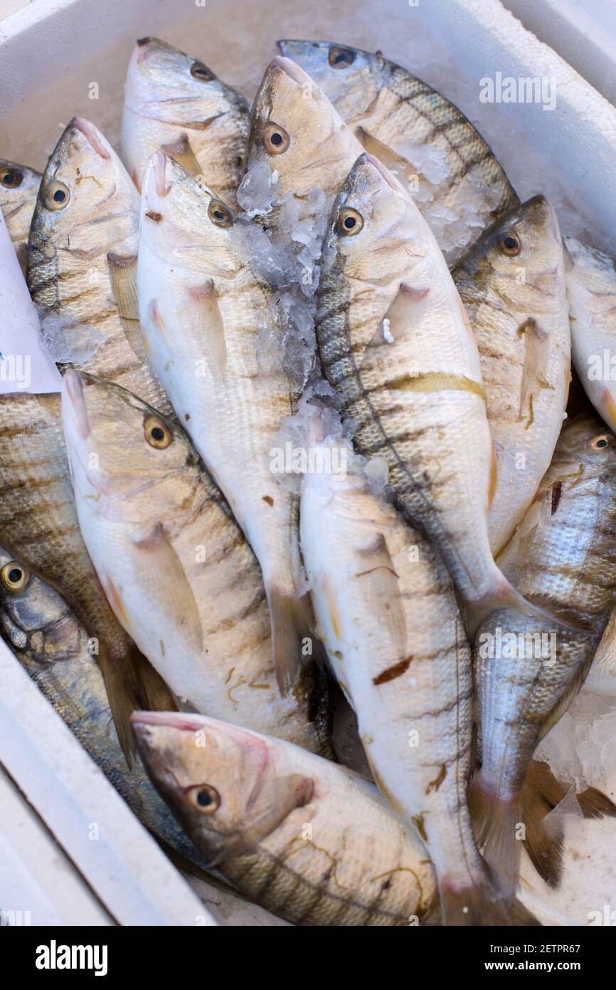 Ice spar hi-res stock photography and images - Alamy