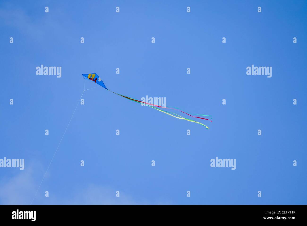 Sky wildlife shot hi-res stock photography and images - Alamy