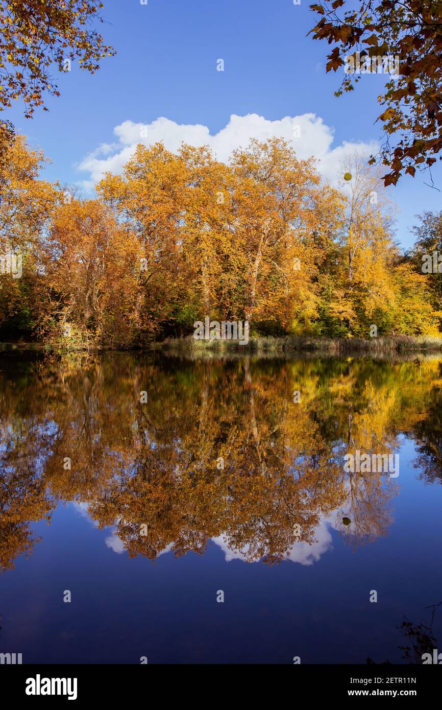 Lakeside paradise hi-res stock photography and images - Alamy