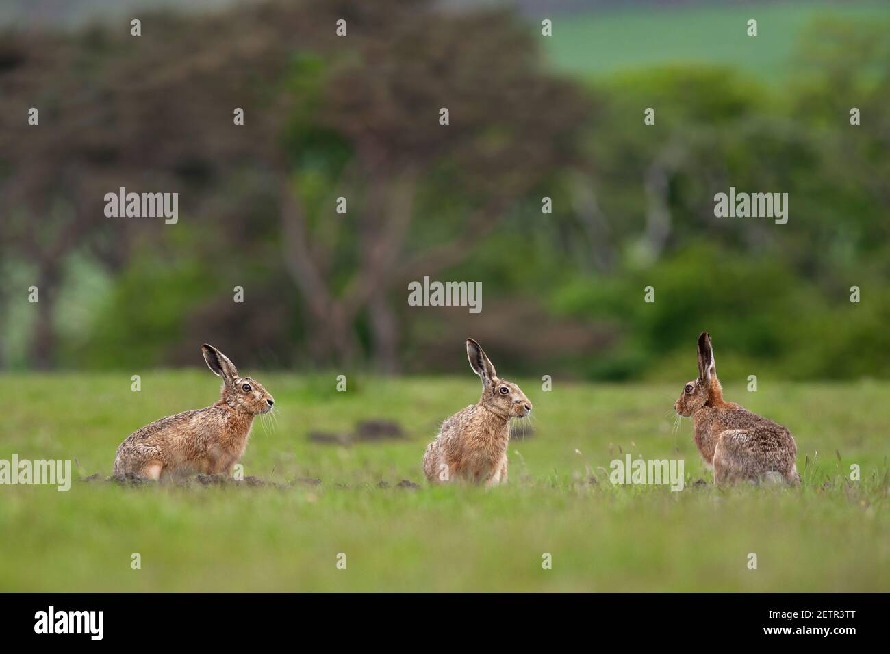 Lancashire britain hi-res stock photography and images - Alamy