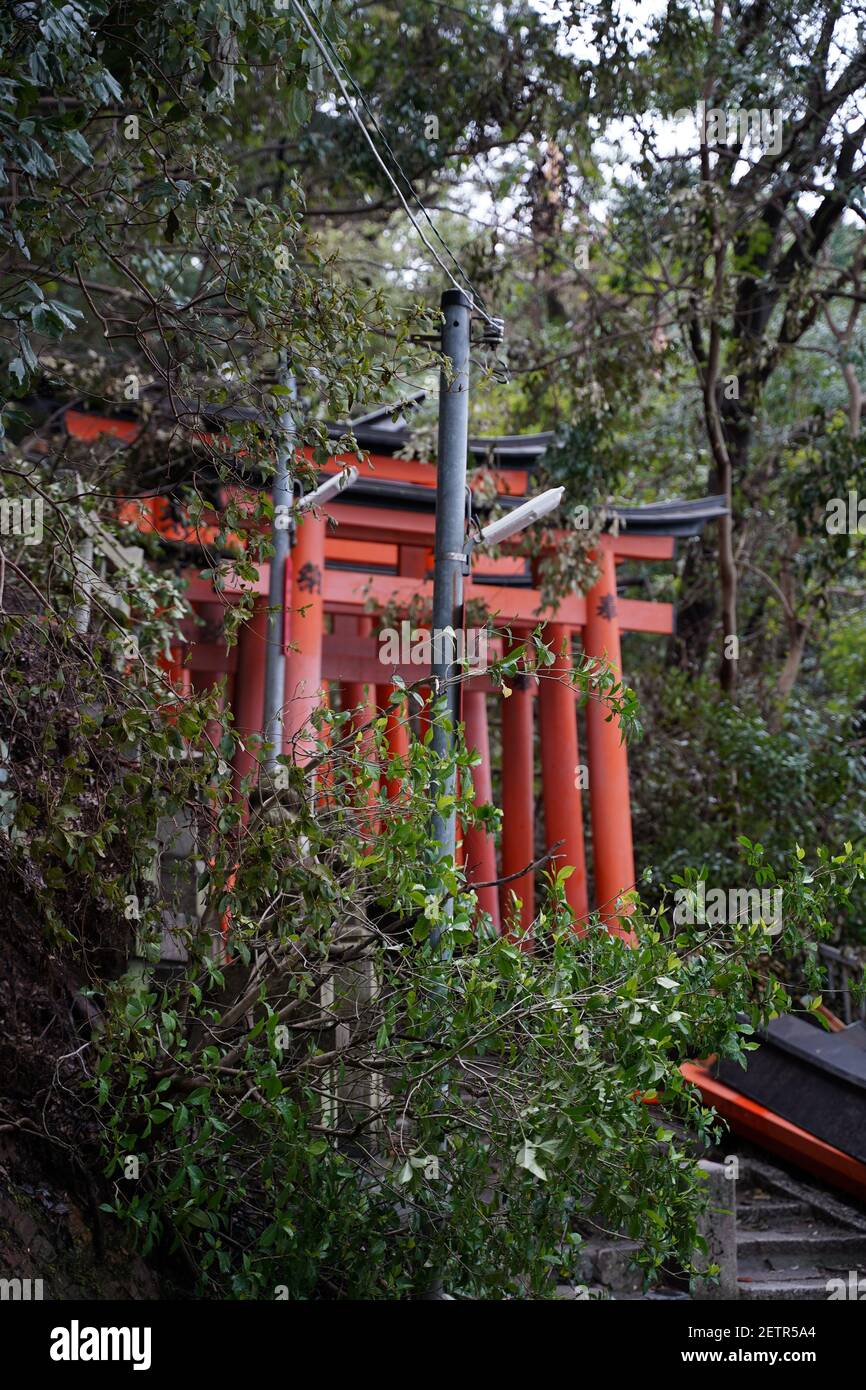 A Photo of the Traditional Fushimi Inari Shrine Red Gates in Japan ...
