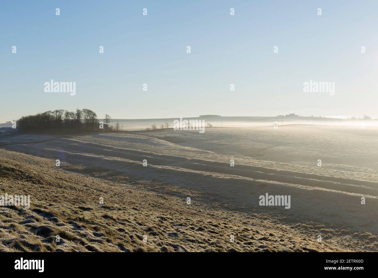 Early morning mist and the line of the Vallum, seen from Cawfield Crags ...