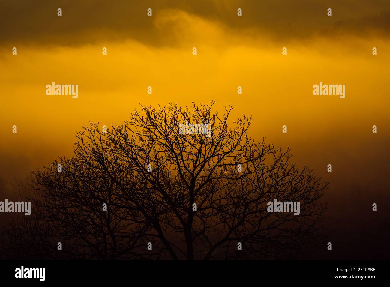 sunset at Argimusco mount Etna Sicily Stock Photo - Alamy