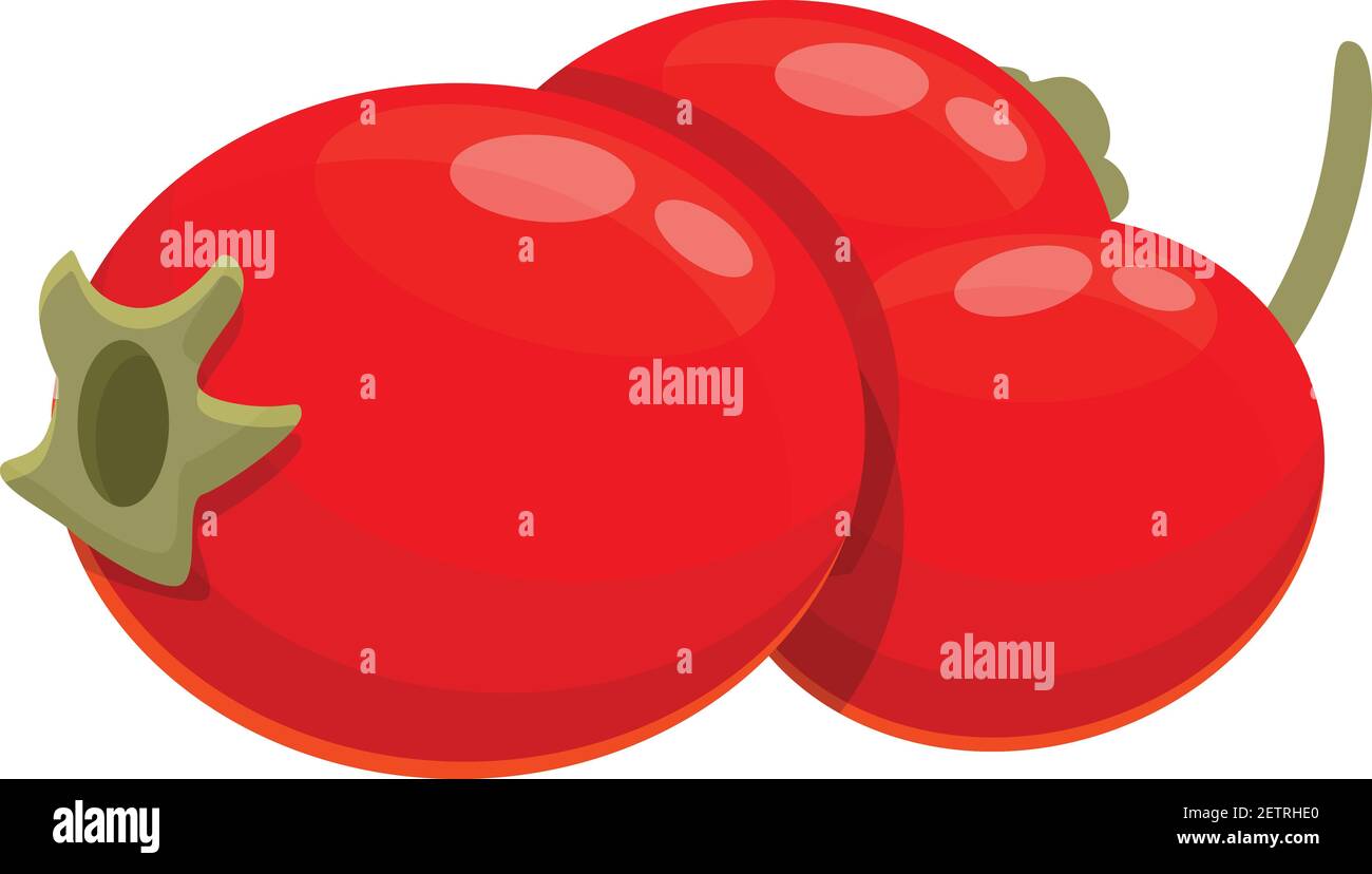 Hawthorn fruits icon. Cartoon of hawthorn fruits vector icon for web ...