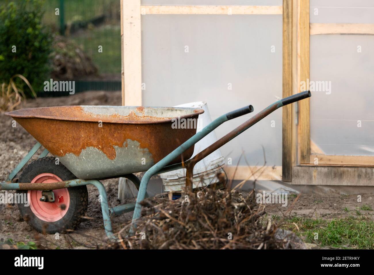 Real rusty wheelbarrow stand next to greenhouse. Store wheelbarrow ...