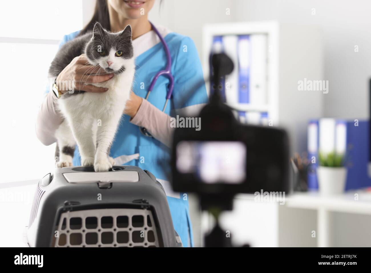 Video for vet clinic hi-res stock photography and images - Alamy