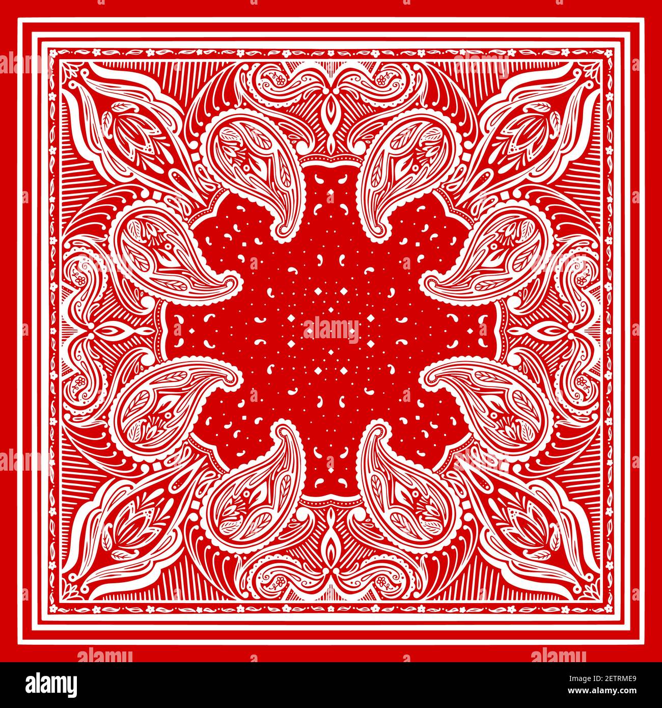 Paisley Bandana Border
