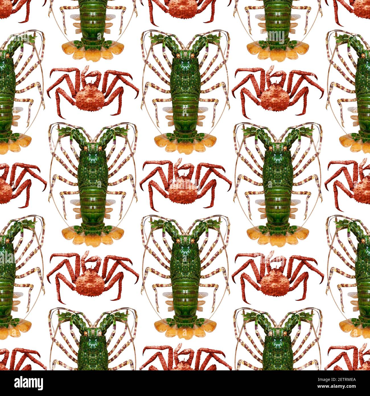 seamless pattern of crabs with lobsters isolated on white Stock Photo ...