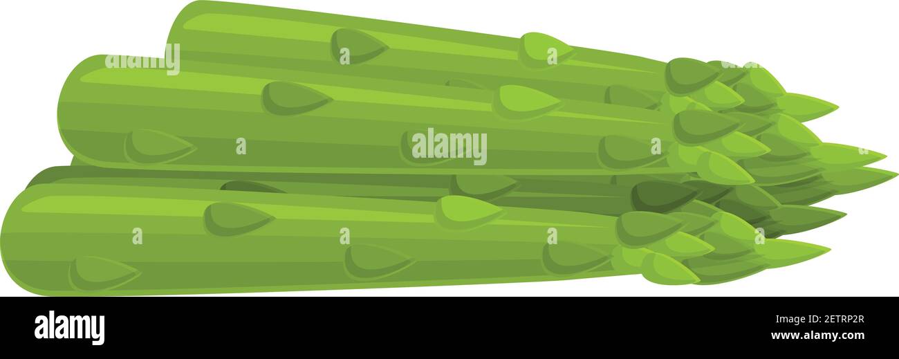 Organic asparagus icon. Cartoon of organic asparagus vector icon for ...