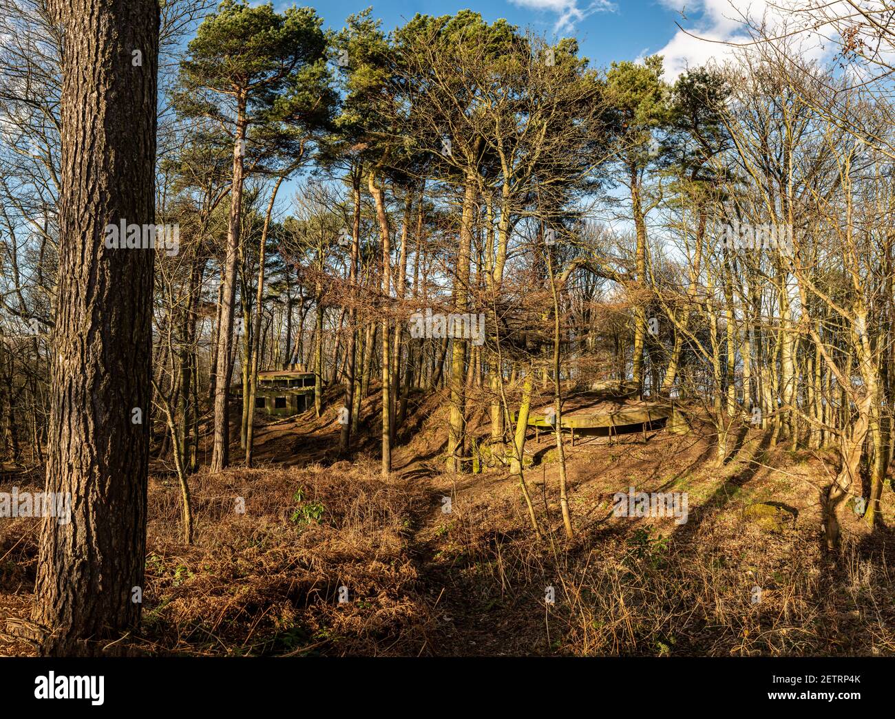 Hound point dalmeny hi-res stock photography and images - Alamy