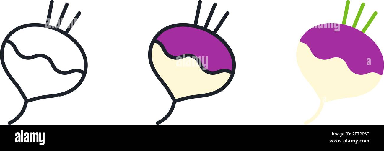 Turnip icon outline illustration turnip Stock Vector Images - Alamy